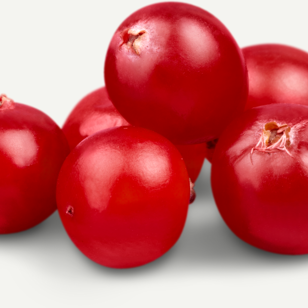 التوت الأحمر وفوائده - Contenteen